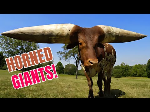 Horned Giants of the Animal Kingdom: Discovering the Top Animals with the Biggest Horns in the World