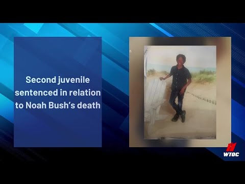 Second juvenile sentenced in relation to Noah Bush’s death