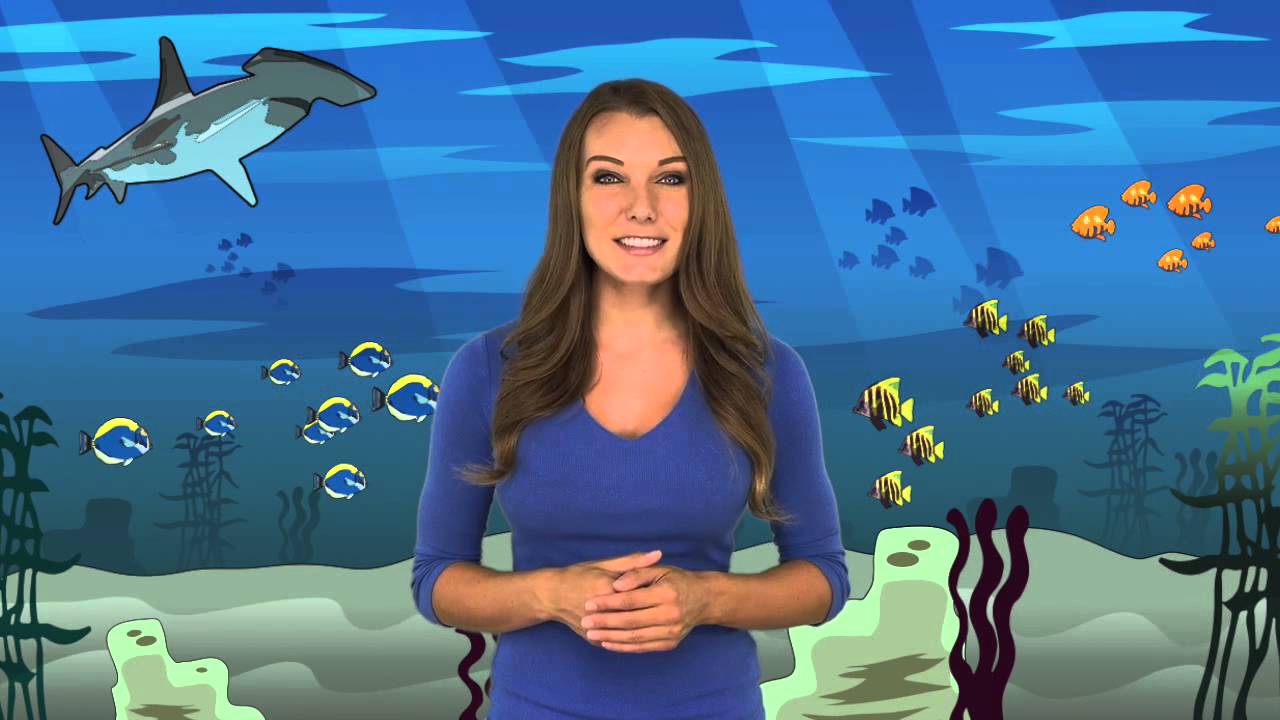 Under The Ocean Background Cartoon
