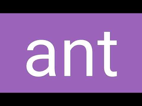 Ant Definition & Meaning