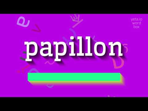 How to say "papillon"! (High Quality Voices)