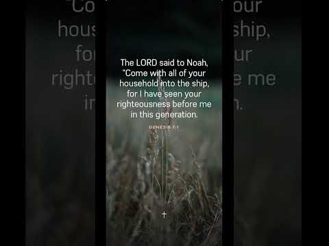 Bible Verse of the day. June 8 2025.