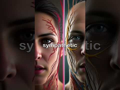 How Your Nervous System Controls EVERYTHING! | Mind-Blowing Facts You NEED to Know!