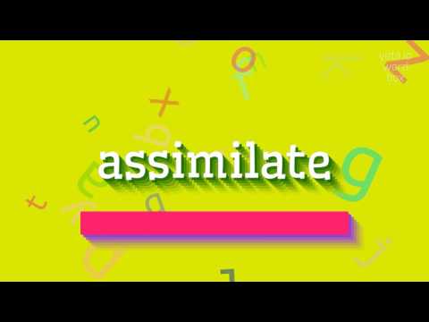 How to say "assimilate"! (High Quality Voices)