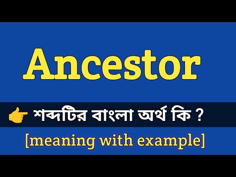 Ancestor Meaning in Bengali With Example || Ancestor শব্দটির বাংলা অর্থ কি হবে ?
