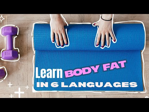 Learn the word Body fat in 6 Languages—Effortless & Fast !