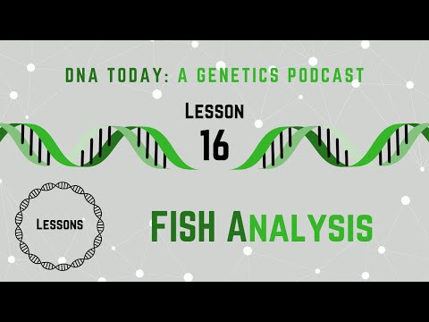 DNA Today Podcast Lesson 16: FISH Analysis: A Cytogenetic Analysis