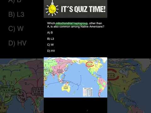Which mitochondrial haplogroup, other than A, is also common among Native Americans?