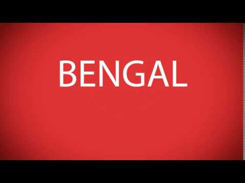 How to pronounce BENGAL [Marvel characters]
