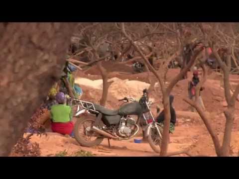 Guldstrom - Gold fields in Mali
