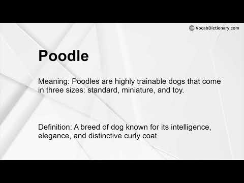 Poodle Meaning