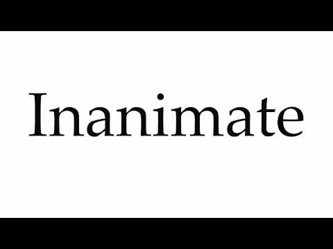 How to Pronounce Inanimate