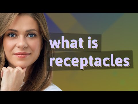 Receptacles | meaning of Receptacles
