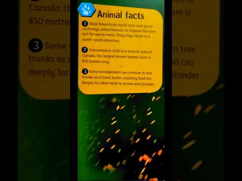 FACT OF ANIMALS #facts #youtube #factfile