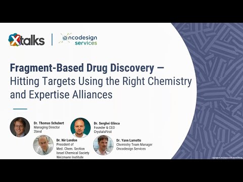 Fragment-Based Drug Discovery—Hitting Targets Using the Right Chemistry & Expertise Alliances
