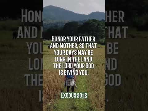 Honor your father and mother... Exodus 20:12 #biblestudy #bibleverses #bible #dailydevotional
