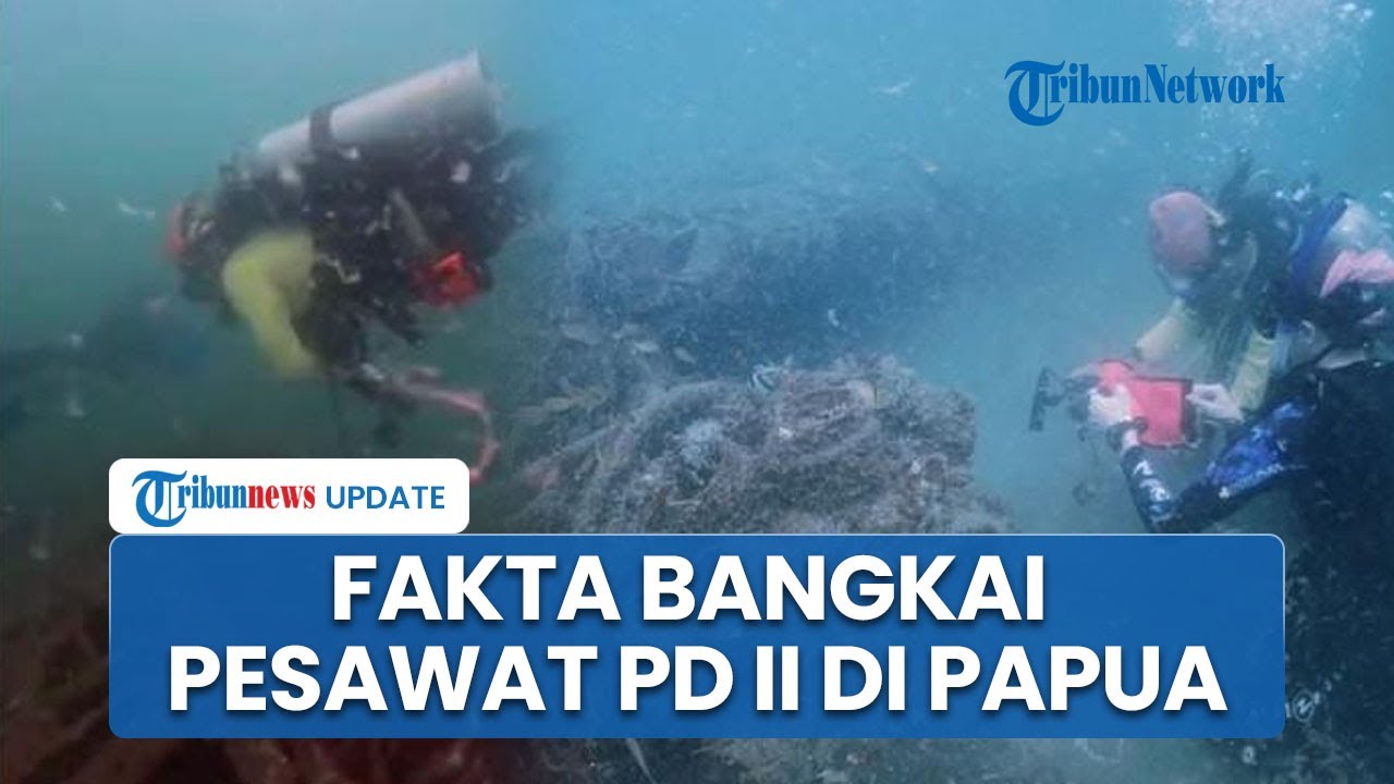 Bangai Pesawat Perang Dunia Ii Ditemukan Di Perairan Jayapura Moncong