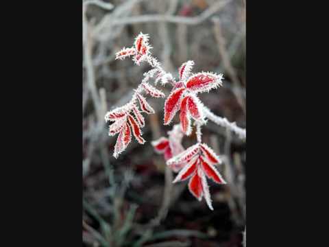 Vlad The Impaler’s Guide to Vampiric Liberation – The Orionids Shower