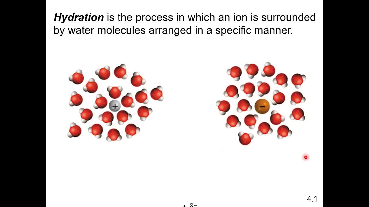 Understanding Reactions in Aqueous Solutions: Key Concepts and Examples ...
