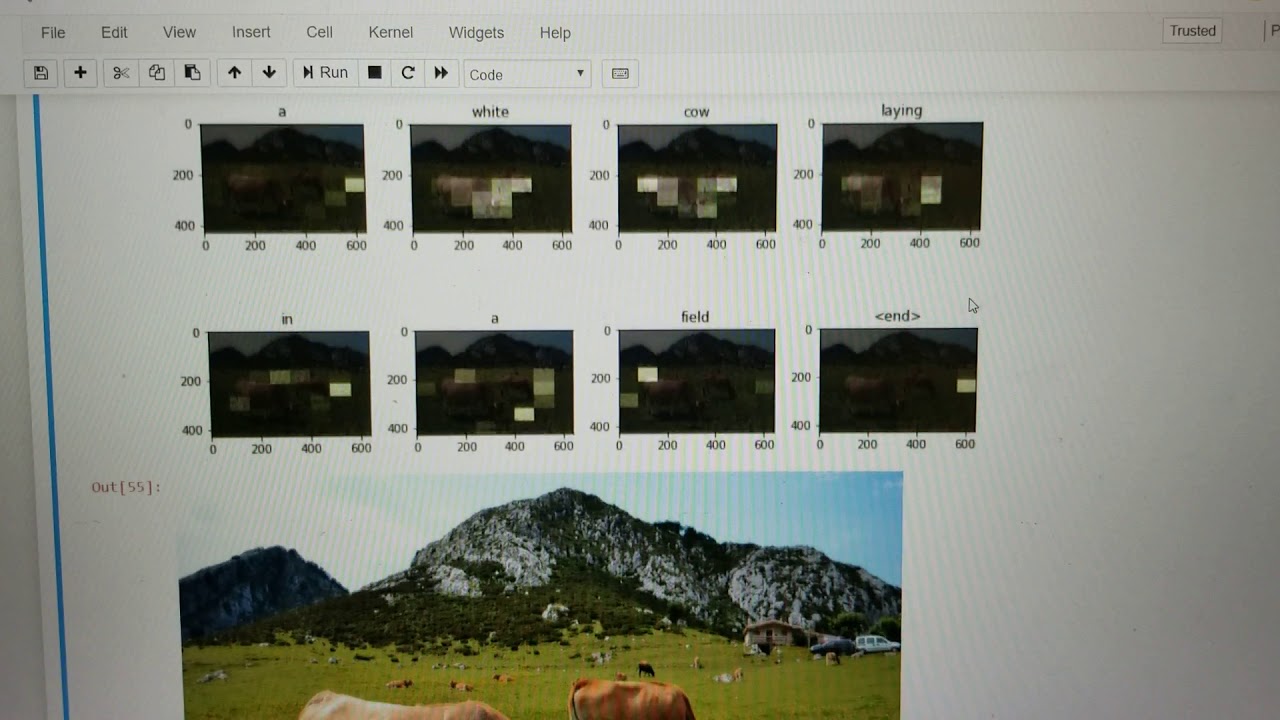 Image Captioning with Attention Maps