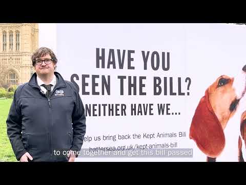 Kept Animals Bill | Battersea