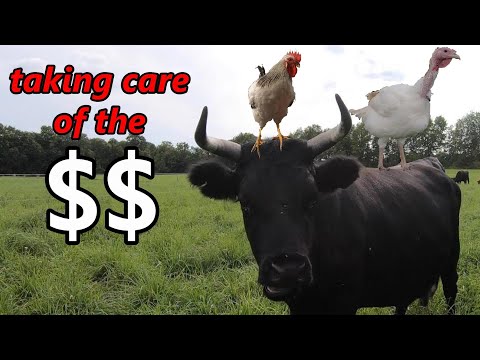 knowing the numbers: a simple system for tracking small farm profitability