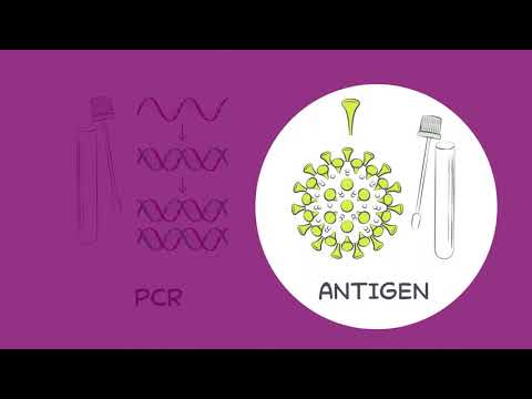 A high-quality $4 COVID-19 antigen test ready to handle workflow