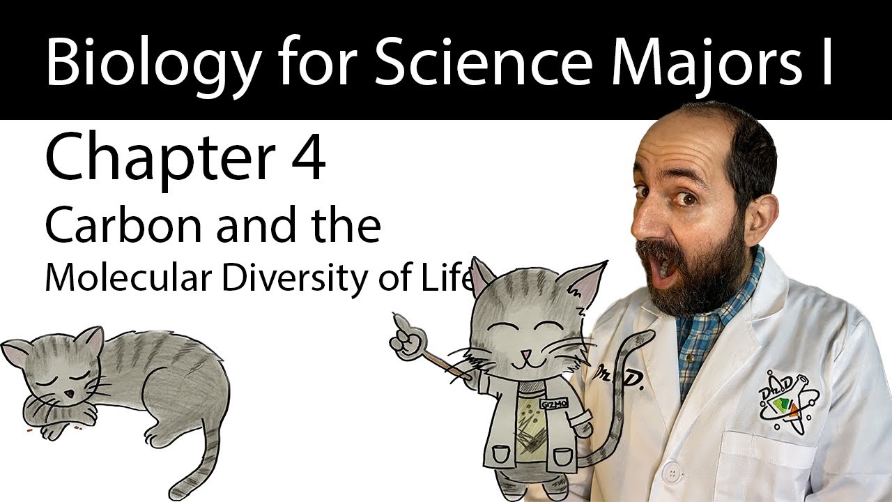 Chapter 4 – Carbon and the Molecular Diversity of Life