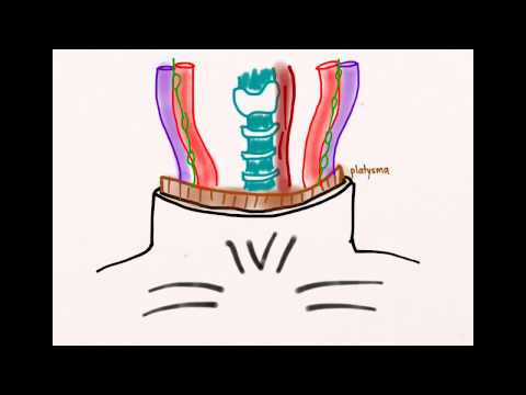 Penetrating Neck Trauma – The Flipped EM Classroom