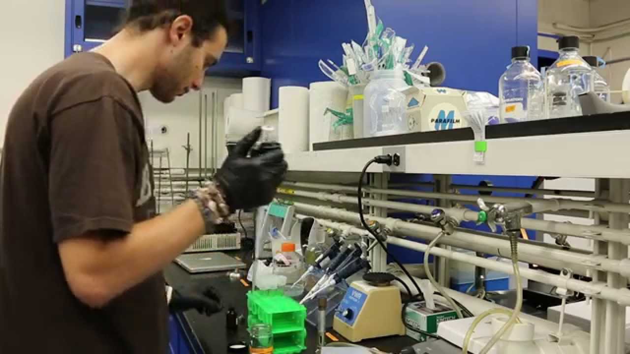 Science in Action: iGEM Competition | California Academy of Sciences