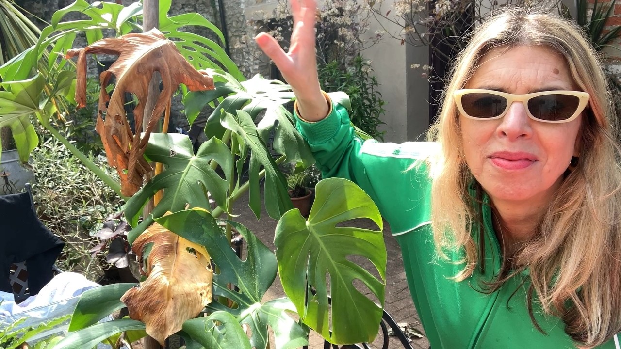 Foodie fun, a houseplant emergency room, and drinking ginger beer in the sunshine with a friend