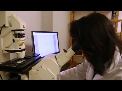 Scientists Prove Green Algae's Appetite for Bacteria