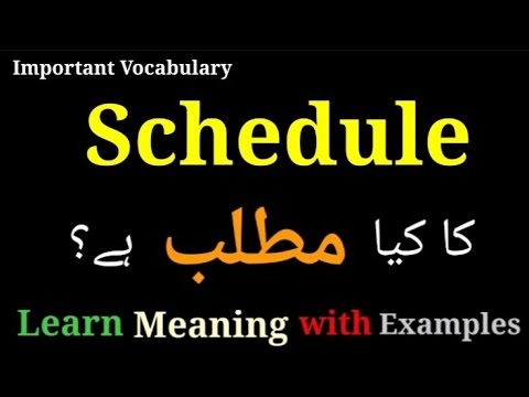 Schedule Meaning in Urdu