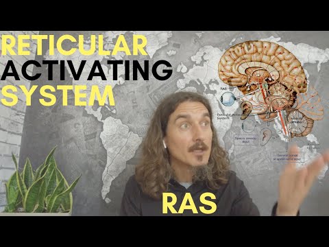 Reticular Activating System, RAS. What is the role of RAS? What is the function of the RAS?
