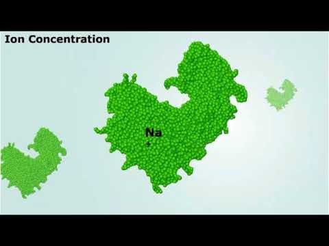 Factors affecting Enzymes Activity