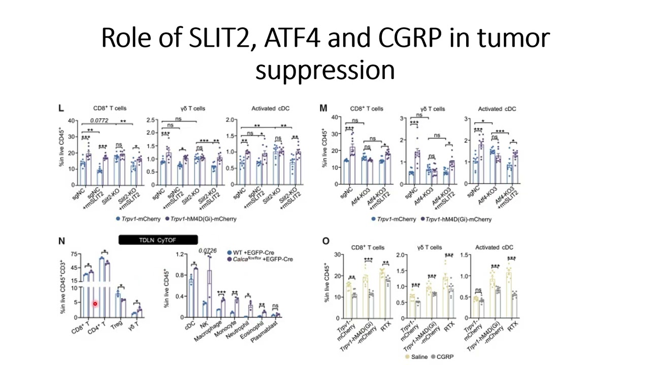Role of SLIT2, ATF4 and CGRP in tumor suppression using innervating neuron activation #Code: 1154