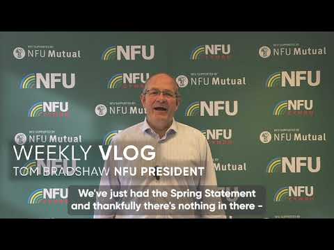 VLOG | Spring Statement Reaction