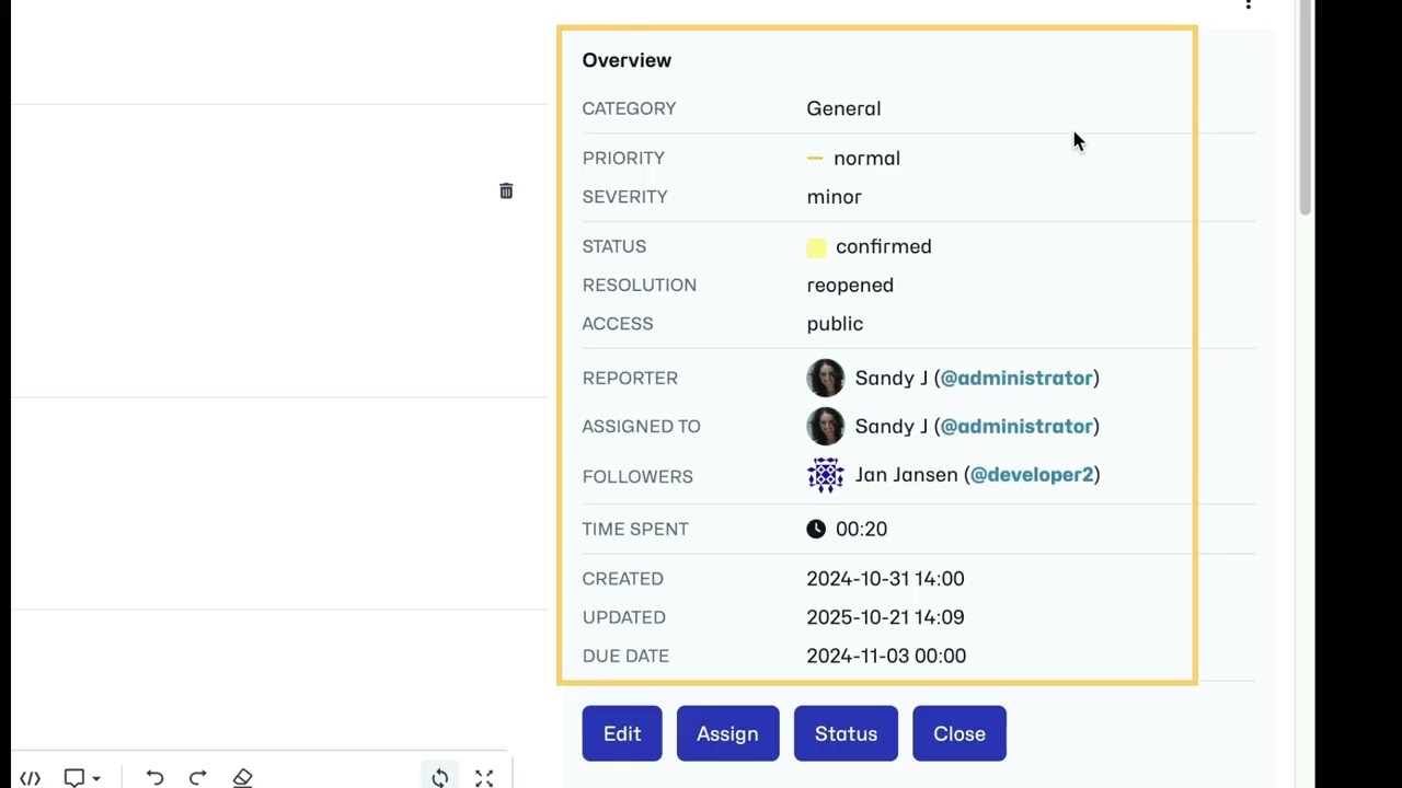 Issue Details - Overview