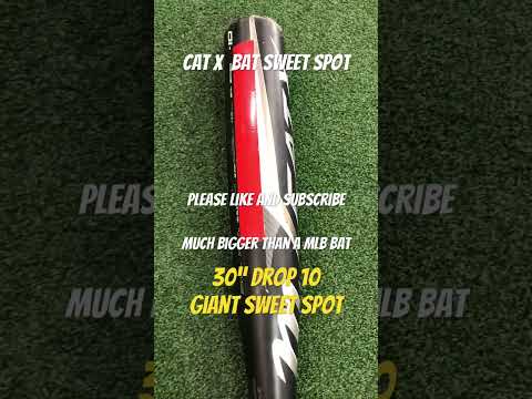 Try to find a bat with a BIG SWEET SPOT #baseball #softball #baseballcoach #mlb ##sports