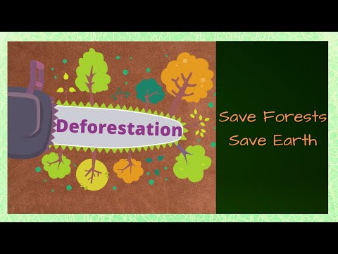 Story for kids on Deforestation causes and effects