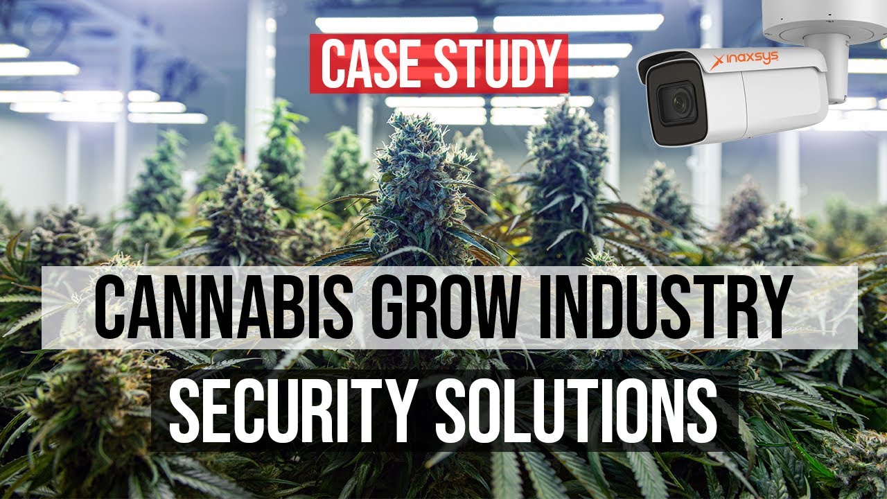 Case Study in Cannabis Security: Video Surveillance and Access Control in a Warehouse and Laboratory