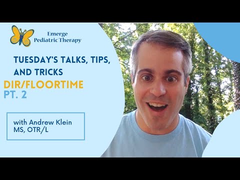 DIR/Floortime for Parents (Part 2)