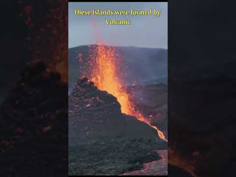 Where is Galapagos Island located? Trivia Questions / Test Your Knowledge Skills Now / Quiz #shorts