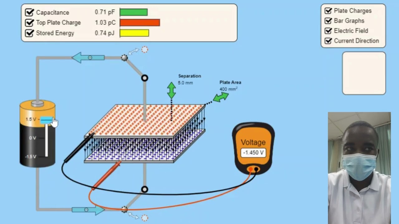 Capacitor Simulation | Science Experiment | Virtual Lab Simulation