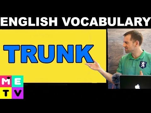 English Vocabulary | Trunk (five meanings)