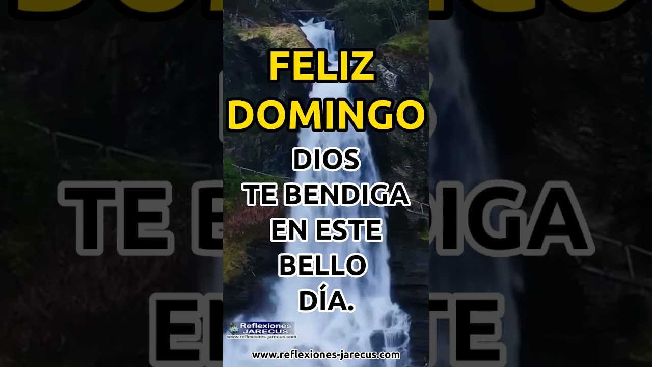 Feliz domingo, Dios te bendiga. #reflexionesjarecus #felizdomingo #buenosdias #buenosdiasmundo