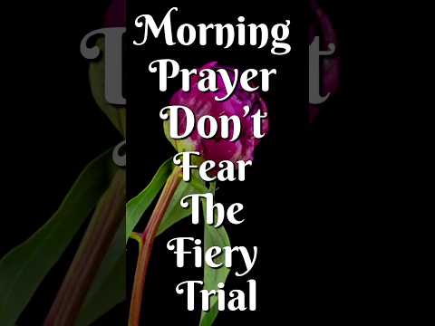 Morning Prayer: Covered by His Hand in Every Trial