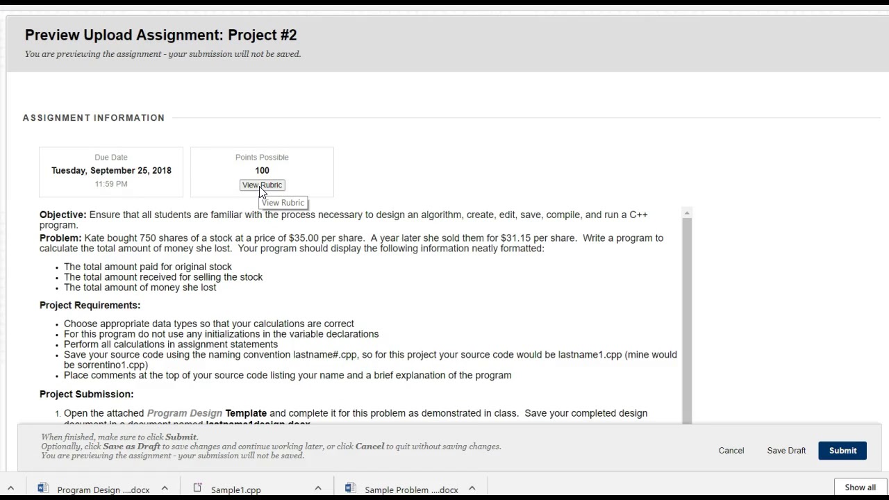 Viewing a Programming Project Rubric