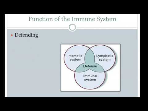 Blood and blood forming diseases