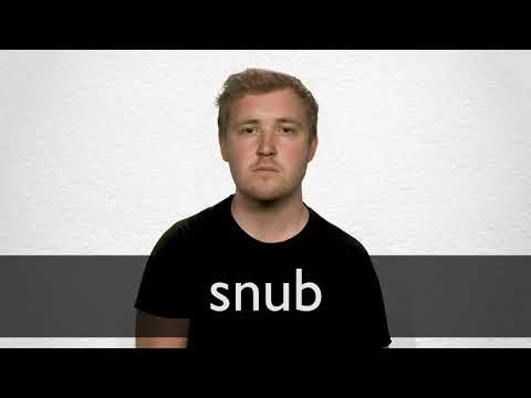 SNUB 释义 | 柯林斯英语词典